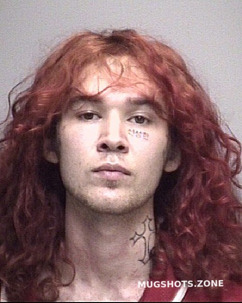 FRYAR SCHMITZ MATTHEW WILLIAM 06/04/2025 - Galveston County Mugshots Zone