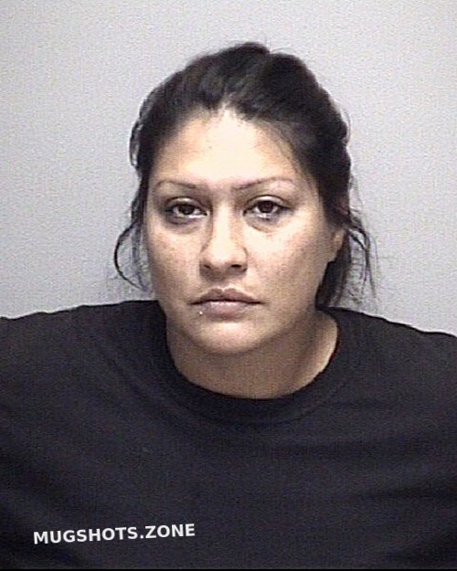 RAMOS BRIGIDA VICTORIA 06/24/2025 - Galveston County Mugshots Zone