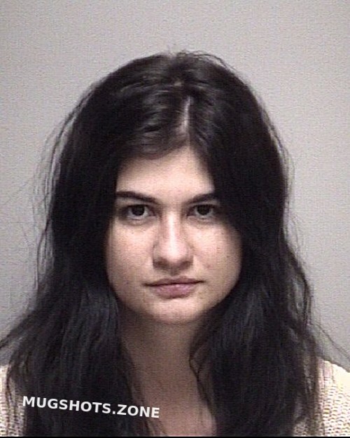 SAPERSTEIN HANNAH JOE 07/11/2025 - Galveston County Mugshots Zone