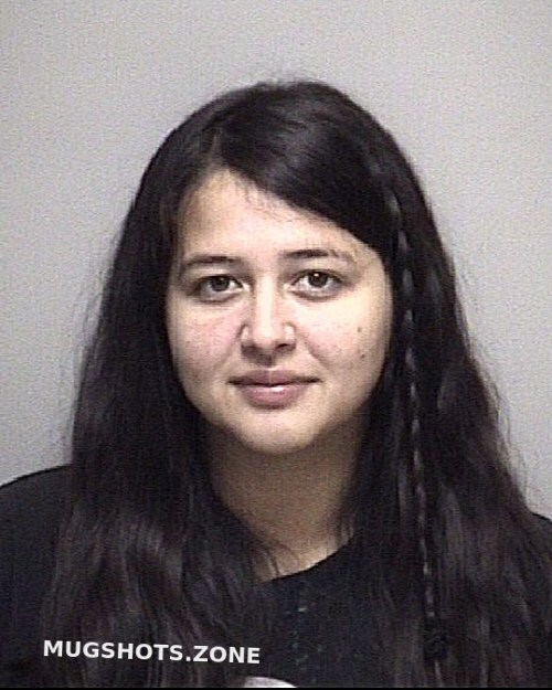 VERMILYEA KELLY RENEE LYNETTE 11/07/2025 - Galveston County Mugshots Zone