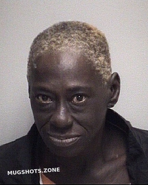 WILLIAMS WANDA ANNETTE 01/23/2026 - Galveston County Mugshots Zone