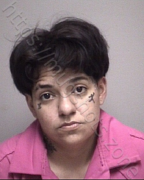 NAVA PAMELA NICOLE 04/10/2026 - Galveston County Mugshots Zone