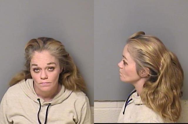 HENDRIX DANIELLE RENEE 01/17/2021 - Gaston County Mugshots Zone