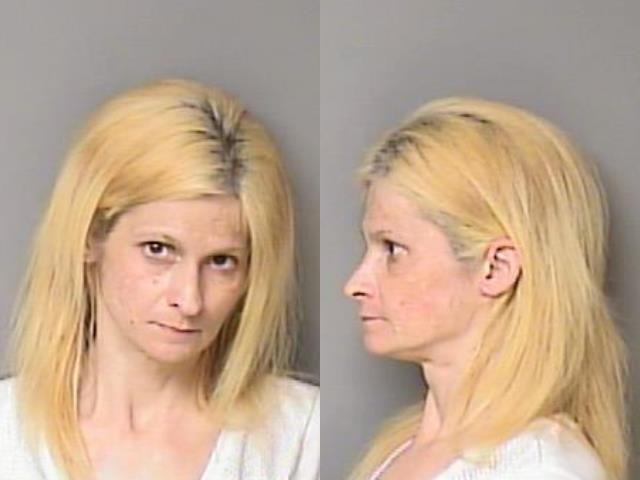 STANG CHRISTA DAWN 01/24/2021 - Gaston County Mugshots Zone