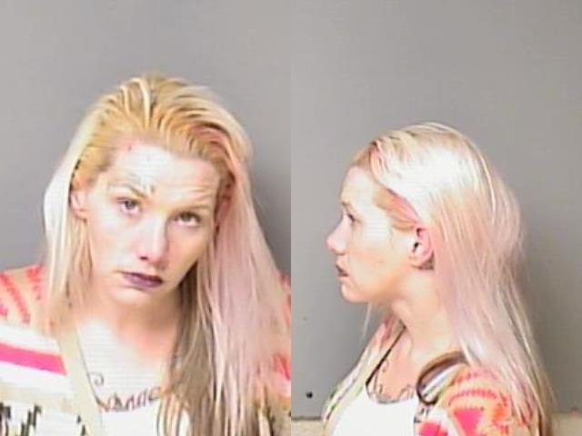 LANDERS COURTNEY SHEA 01/24/2021 - Gaston County Mugshots Zone