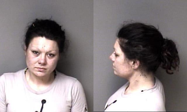 FITE ELIZABETH DIANE 02/16/2021 - Gaston County Mugshots Zone