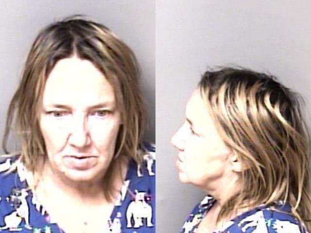 HUDSPETH CATHY ANN 02/17/2021 - Gaston County Mugshots Zone