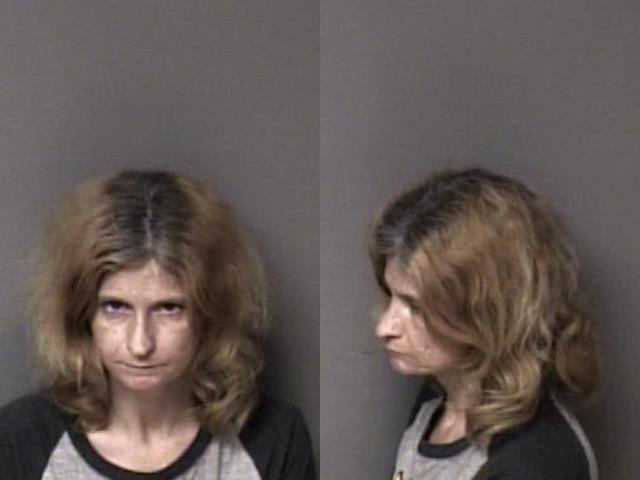 STANG CHRISTA DAWN 03/29/2021 - Gaston County Mugshots Zone