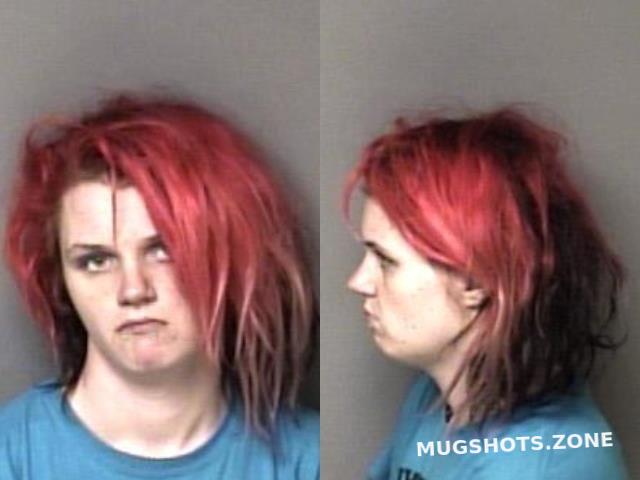 POSTELL TAYLOR DIANE 11/09/2021 - Gaston County Mugshots Zone