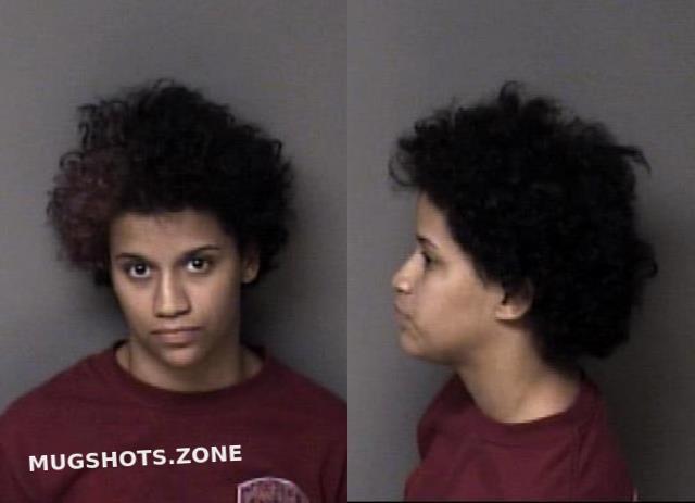 HOUSER HALEY MICHELLE 11/21/2022 - Gaston County Mugshots Zone
