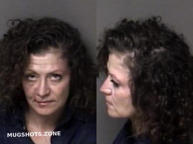 HAYNES LESA RENAE 01/01/2023 - Gaston County Mugshots Zone