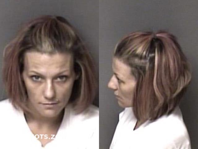 HOWELL APRIL LYNN 01/28/2023 - Gaston County Mugshots Zone