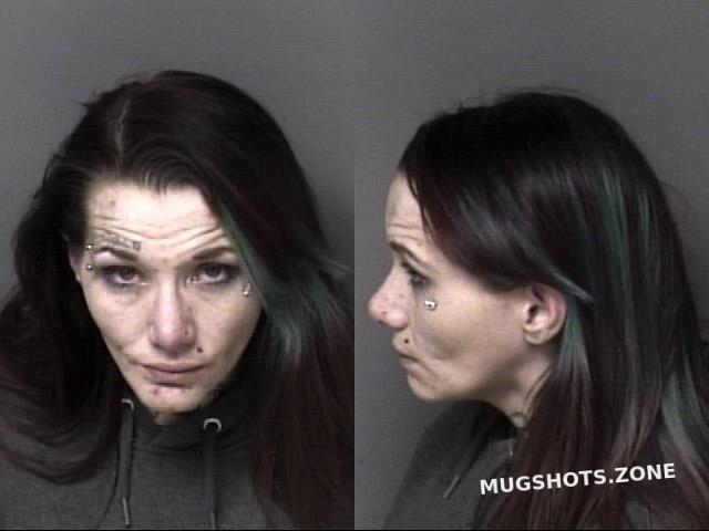 LANDERS COURTNEY SHEA 03/31/2023 - Gaston County Mugshots Zone