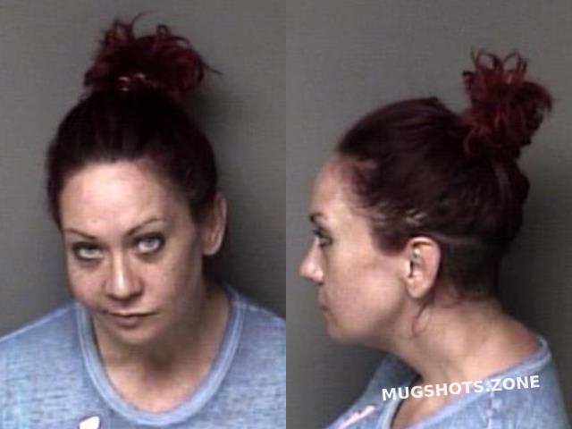 PROFFITT REBECCA CAROL 04/18/2023 - Gaston County Mugshots Zone