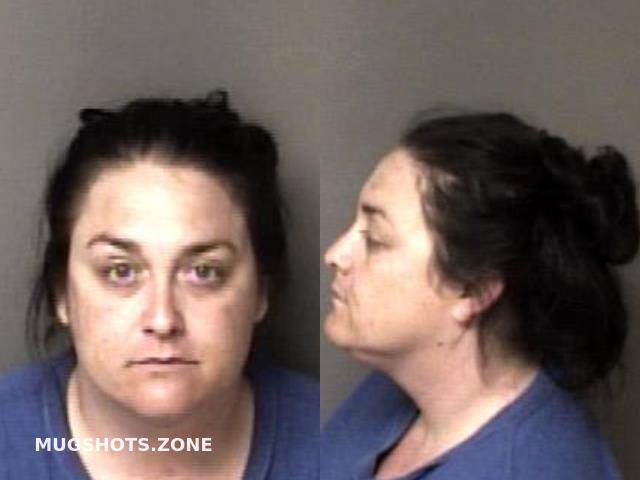 CAVENDER AMANDA NICOLE 06/11/2023 - Gaston County Mugshots Zone