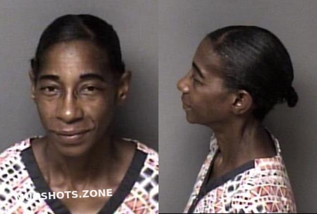 TOWNSEND MICHELLE NICOLE 07/11/2023 - Gaston County Mugshots Zone