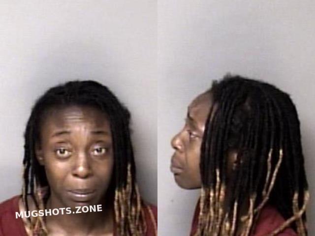 BROWN JANET RENEE 07/25/2023 - Gaston County Mugshots Zone