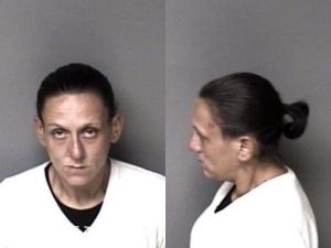RAY-HILL TASHA NICOLE 11/14/2023 - Gaston County Mugshots Zone
