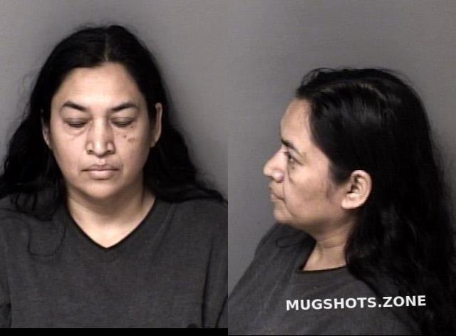 ROSALES THANIA REYES 11/28/2023 - Gaston County Mugshots Zone