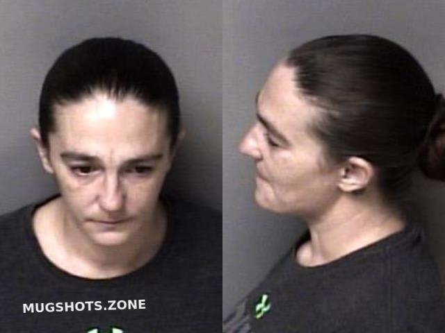 GOSNELL STEPHANIE TOLER 12/27/2023 - Gaston County Mugshots Zone
