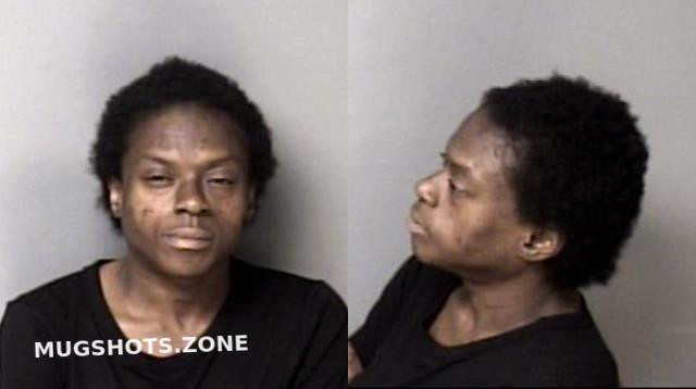 JOHNSON JESSICA RENEE 02/11/2024 - Gaston County Mugshots Zone