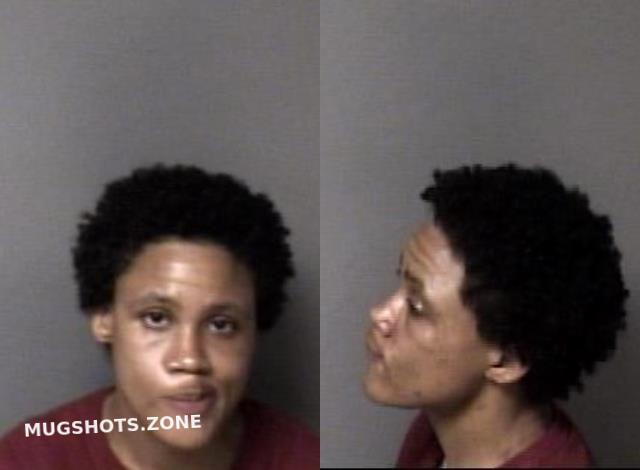 DAVIS ASHLEY NICOLE 03/13/2024 - Gaston County Mugshots Zone