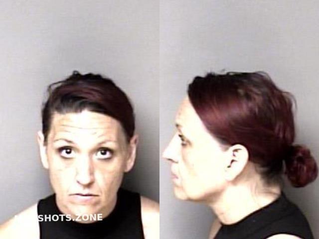 TINSLEY ROBIN MARTIN 05/29/2024 - Gaston County Mugshots Zone