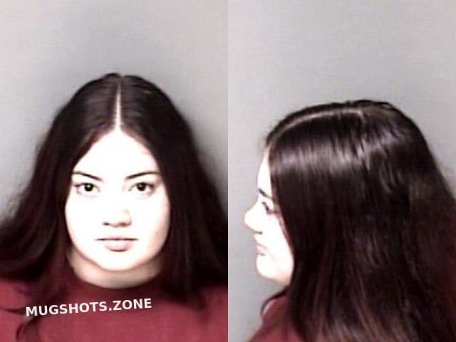 Scott Dani Elaine 06 01 2024 Gaston County Mugshots Zone