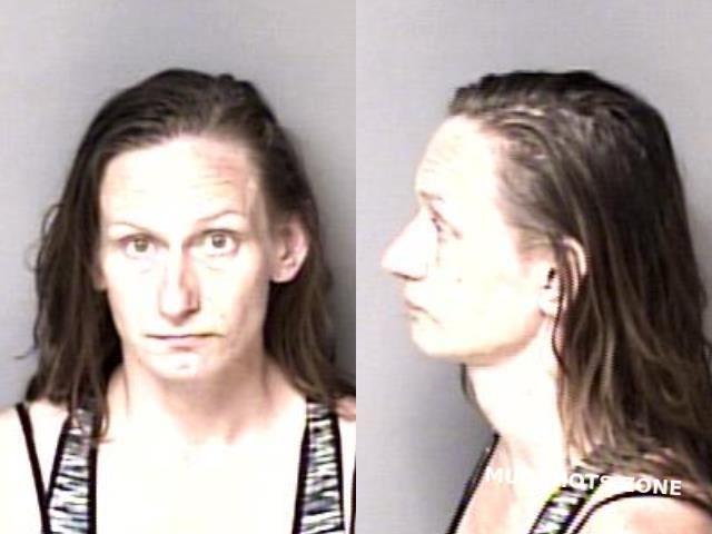 STARNES LISA MARIE 06/04/2024 - Gaston County Mugshots Zone