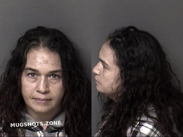 SCATES DEANNA MICHELLE 06/14/2024 - Gaston County Mugshots Zone