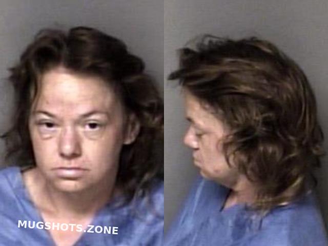 NOGGLE JESSICA ELAINE 08/02/2024 - Gaston County Mugshots Zone