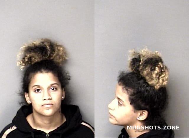 HOUSER HALEY MICHELLE 08/19/2024 - Gaston County Mugshots Zone