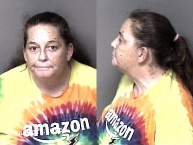 SWANN ERICA LYNN 09/08/2024 - Gaston County Mugshots Zone