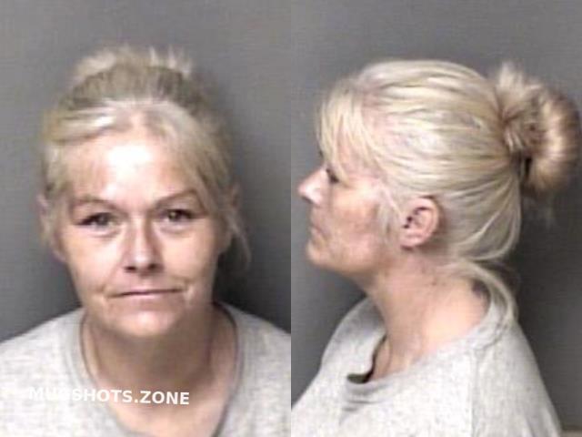 MEDLIN CRYSTAL CELESTE 10/16/2024 - Gaston County Mugshots Zone