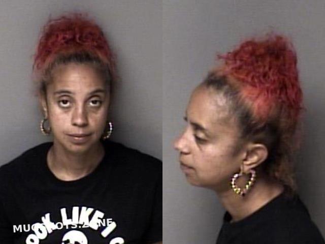 LITTLEJOHN BRITTANY 11/03/2024 - Gaston County Mugshots Zone