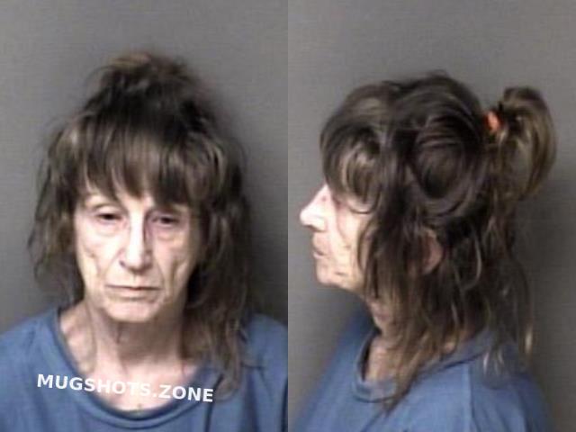 STEPHENS CATHY ELLIS 11/07/2024 - Gaston County Mugshots Zone