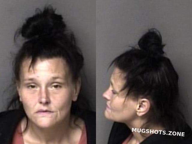 SILVERS BRANDY ANN 11/12/2024 - Gaston County Mugshots Zone