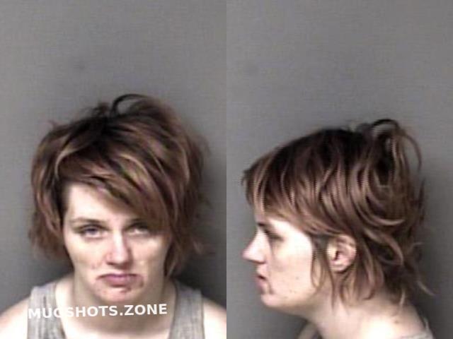POSTELL TAYLOR DIANE 11/19/2024 - Gaston County Mugshots Zone