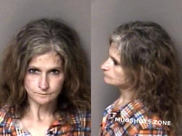 STANG-CHRISTOPHER CHRISTA DAWN 12/07/2024 - Gaston County Mugshots Zone