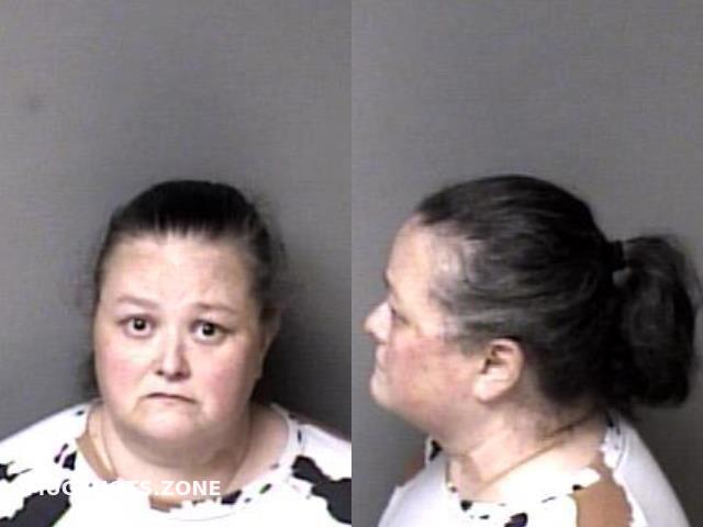 SPRY LISA ANNETTE 01/27/2025 - Gaston County Mugshots Zone