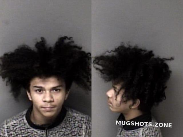 TIMS JAVIS AVANTE HOUSTON 02/28/2025 - Gaston County Mugshots Zone