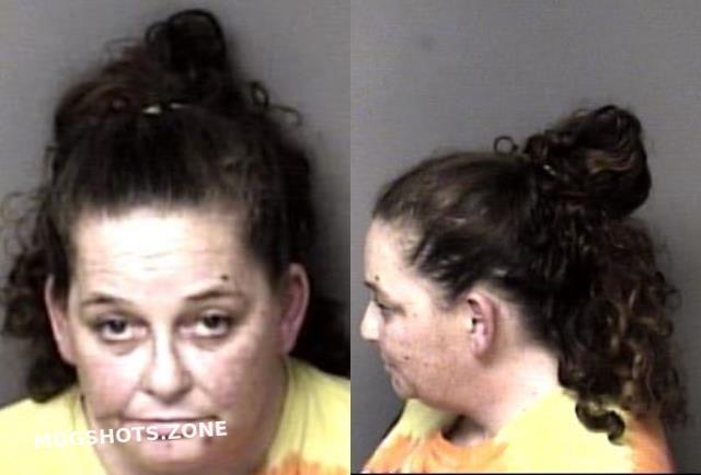 SWANN ERICA LYNN 06/02/2025 - Gaston County Mugshots Zone
