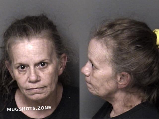 GIBBIE LISA MICHELLE 06/09/2025 - Gaston County Mugshots Zone