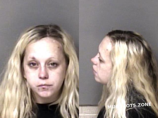 DEVINE CARLEE NICOLE 07/03/2025 - Gaston County Mugshots Zone