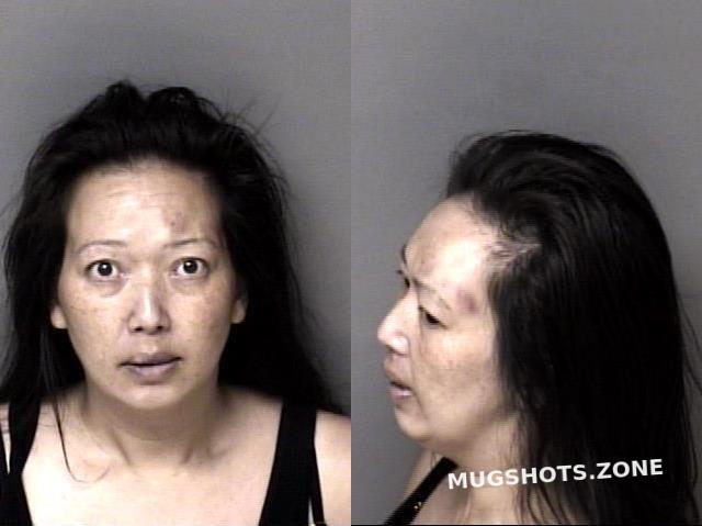 YANG LAILIA 07/10/2025 - Gaston County Mugshots Zone