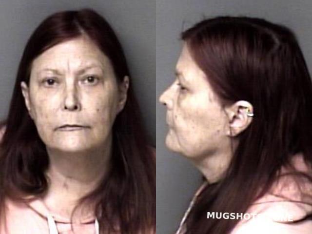 GEER SUSAN JANE 11/20/2025 - Gaston County Mugshots Zone