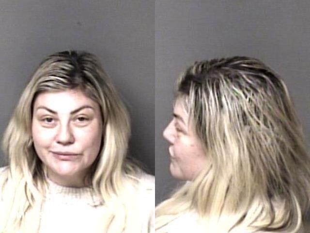 PHILLIPS JESSICA RHODEN 01/14/2026 - Gaston County Mugshots Zone