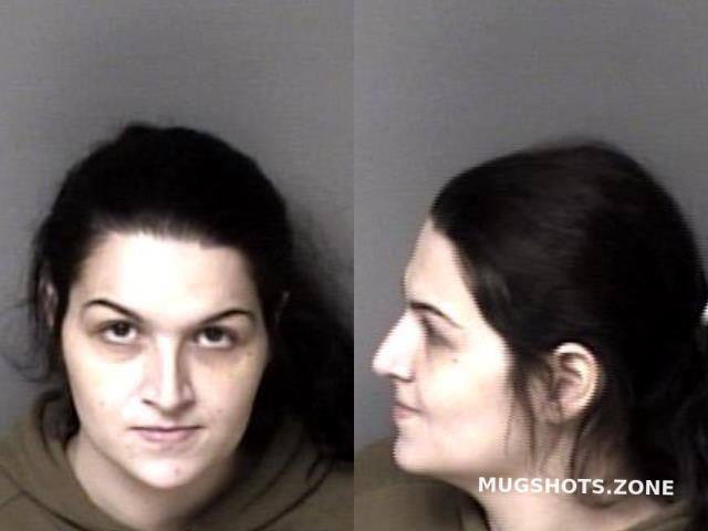 IMES HEATHER ELIZABETH 02/04/2026 - Gaston County Mugshots Zone