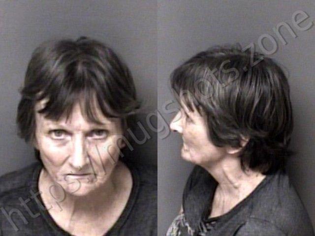 SWANEY KATHY KING 03/27/2026 - Gaston County Mugshots Zone