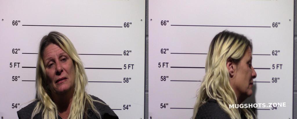 STOVALL KELLY SUE 08/04/2023 - Gillespie County Mugshots Zone